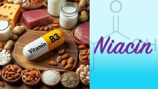 The Role of Vitamin B3-Niacin in Human Health and Wellness – REVITA-O ...